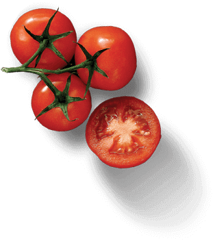 Acropolis Greek Botosani – Restaurant & Livrari la domiciliu cu ...